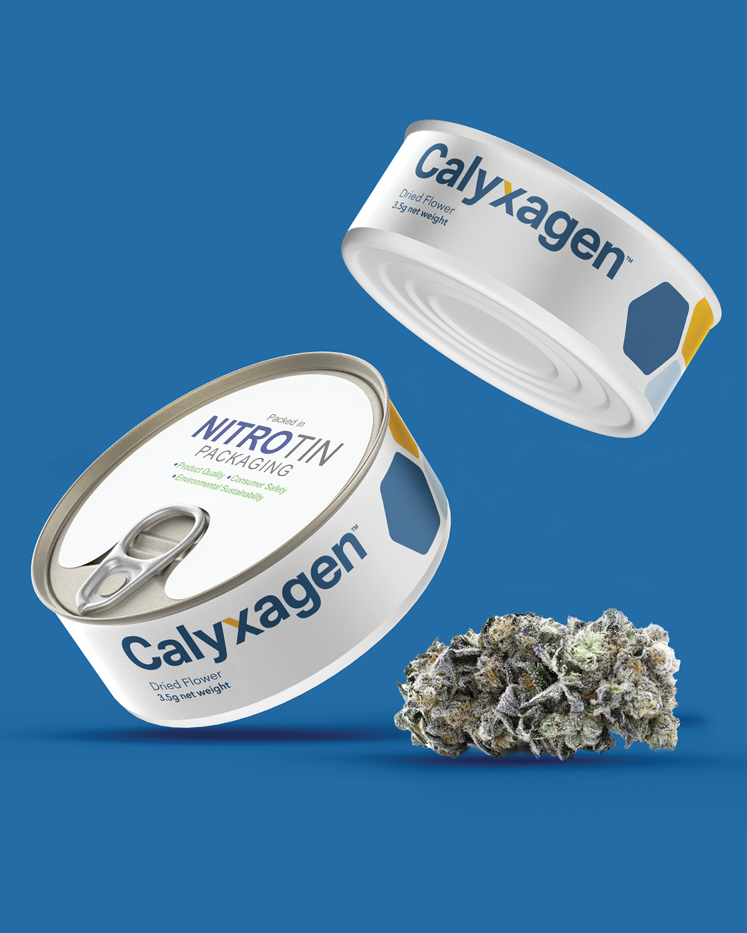 Catalogue - Calyxagen